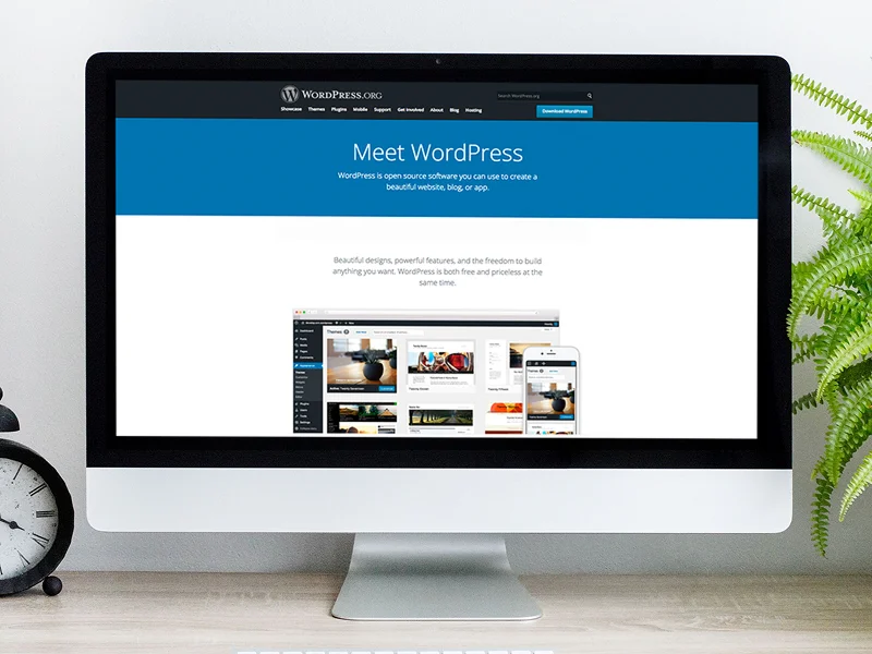 Custom WordPress Development Services – Revinfotech